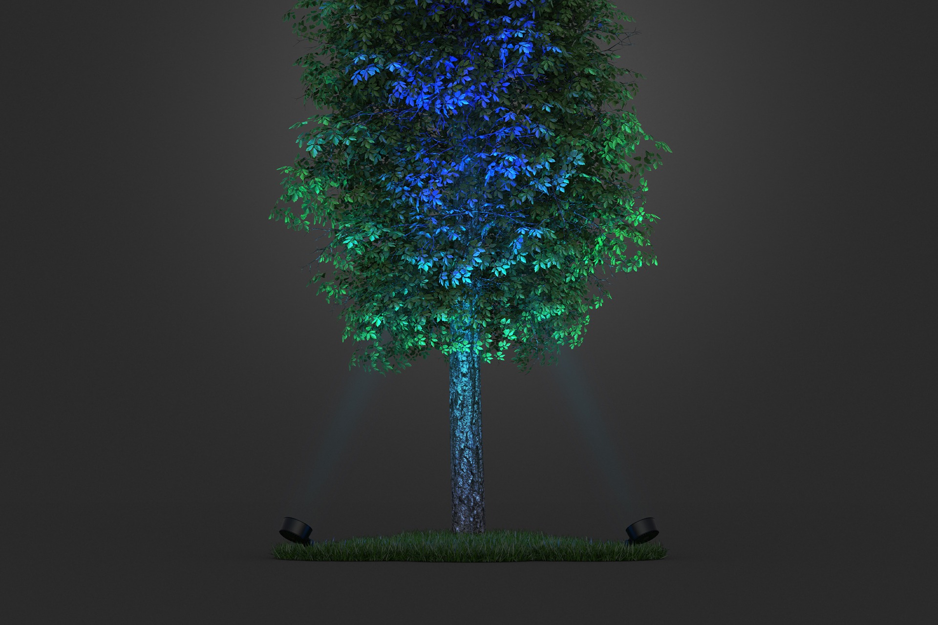 David Morgan Review: Hydrel FLAME – arc